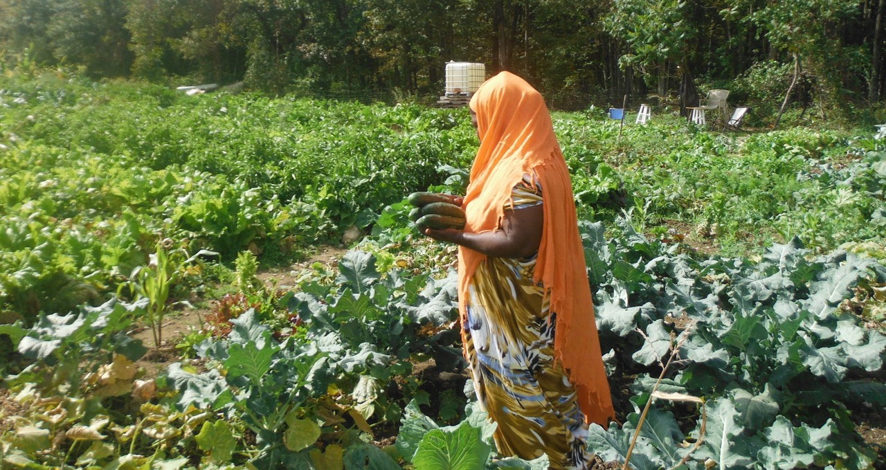 Organization for Refugee and Immigrant Success (ORIS) - Science and Engineering - APNF