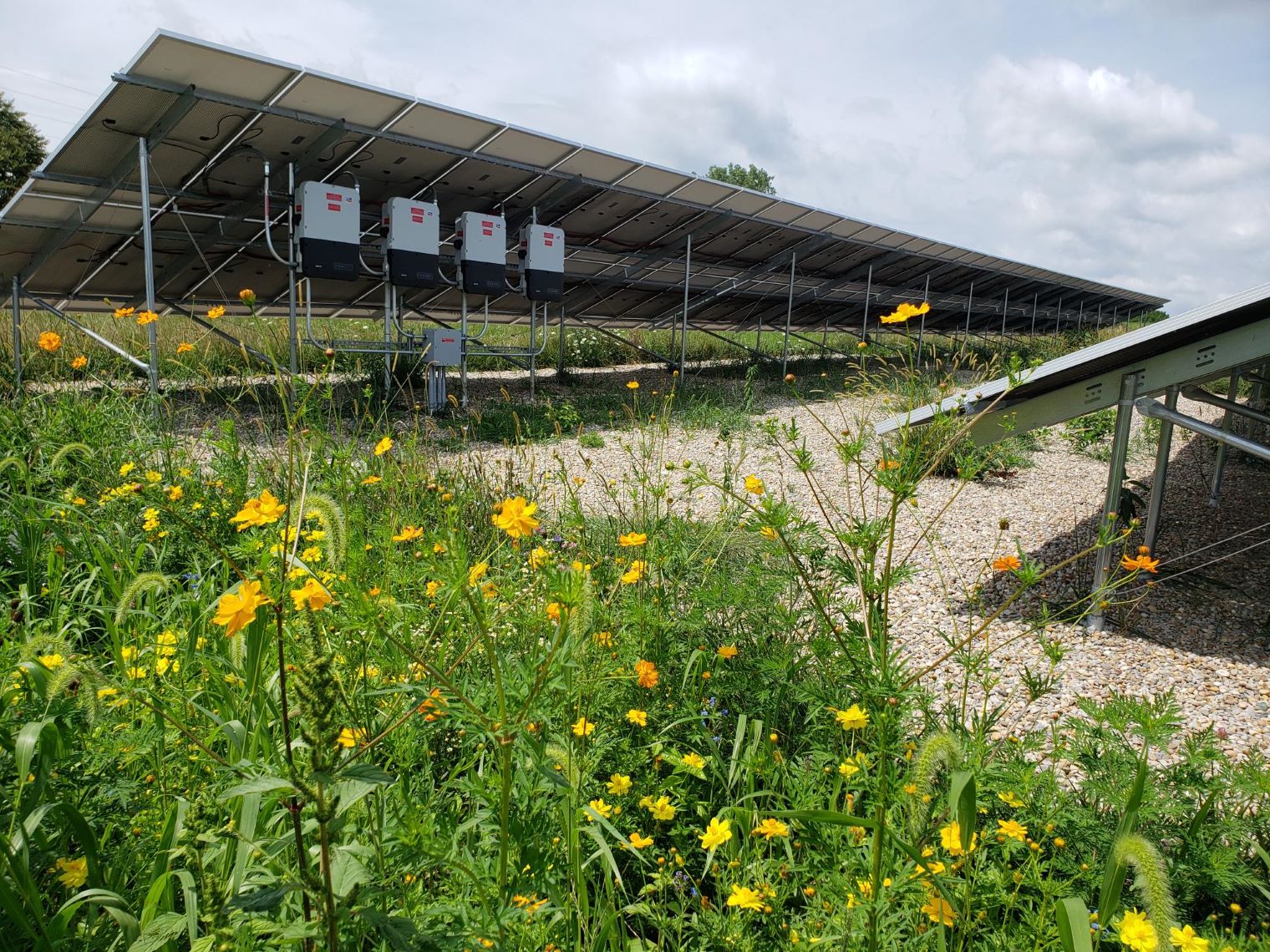 Safe Haven Farms